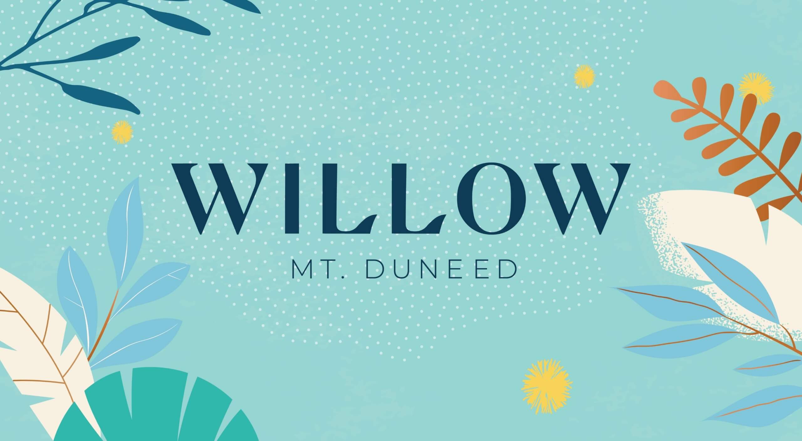Willow - Sense creative agency
